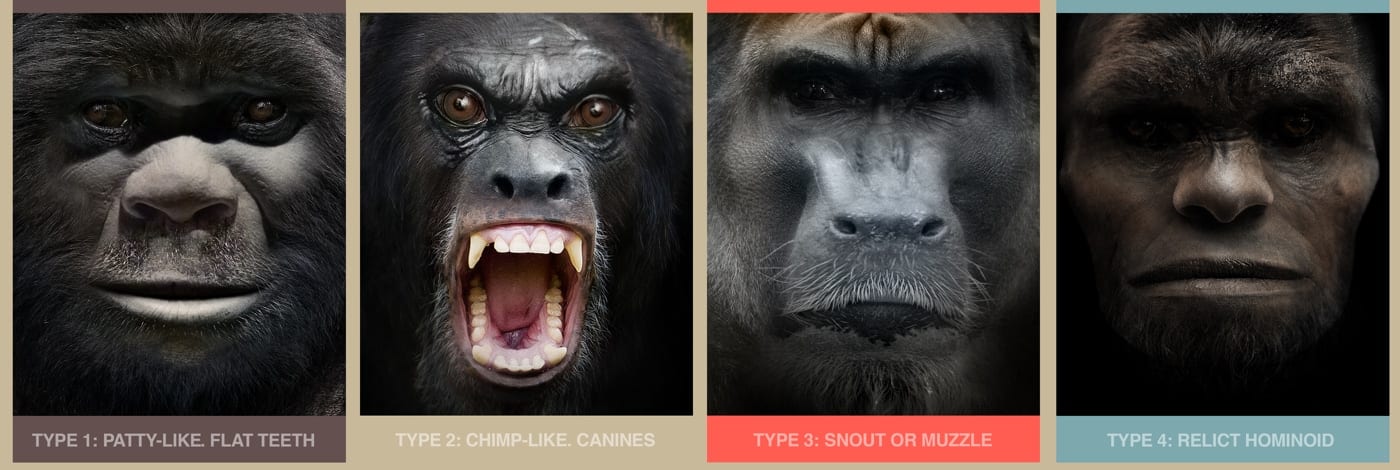 Bigfoot Types: The North American Variations - Sasquatch Chronicles
