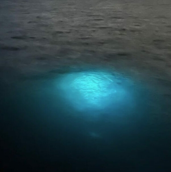 news-hq-light-under-sea | Sasquatch Chronicles